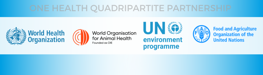 Everything you need to know about One Health - Extra Mile Pest Control ...