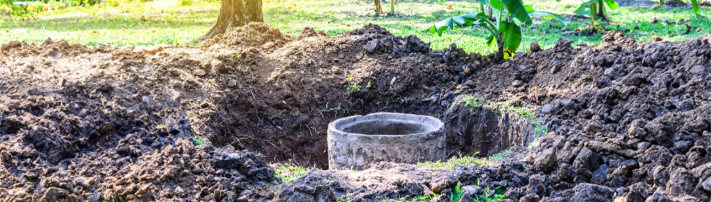 New UF/IFAS publication: Managing impacts of flooding, groundwater rise ...